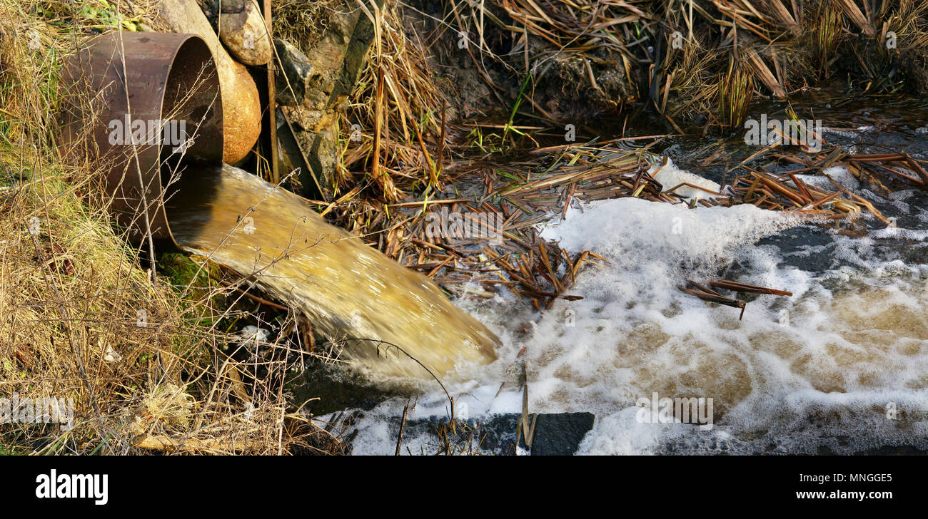 Dirty waste water merges into a clean forest stream. Landscape concept ...