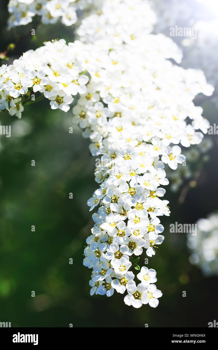 Spirey hi-res stock photography and images - Alamy