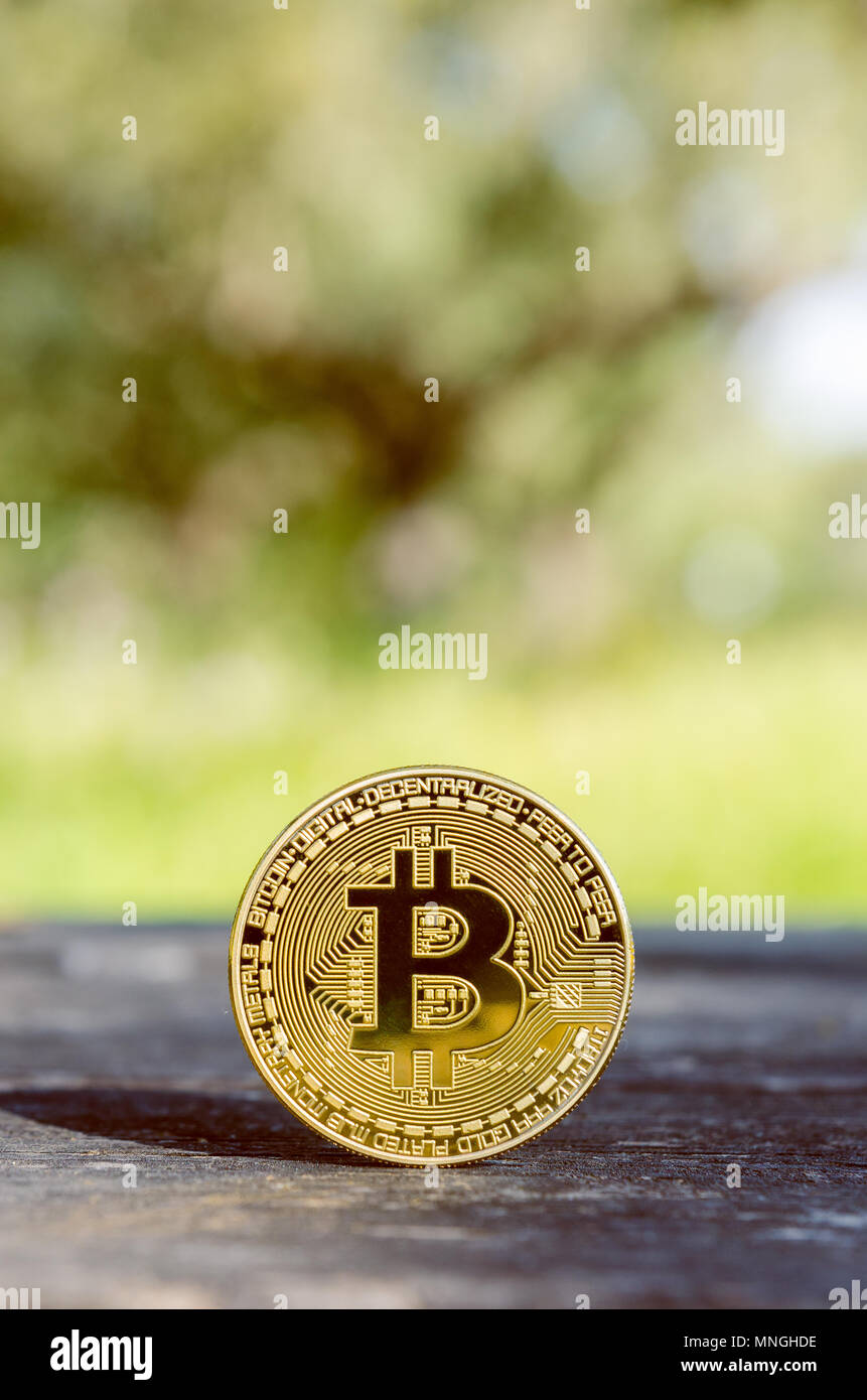 close up stack of bitcoin on old wood table with nature copy space ...