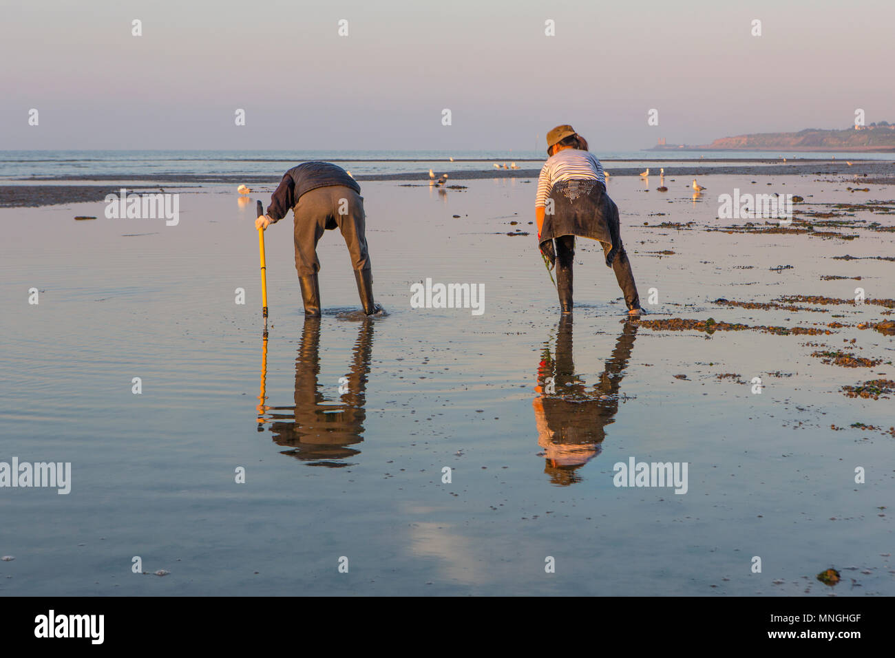 Seaweed pickers hi-res stock photography and images - Alamy