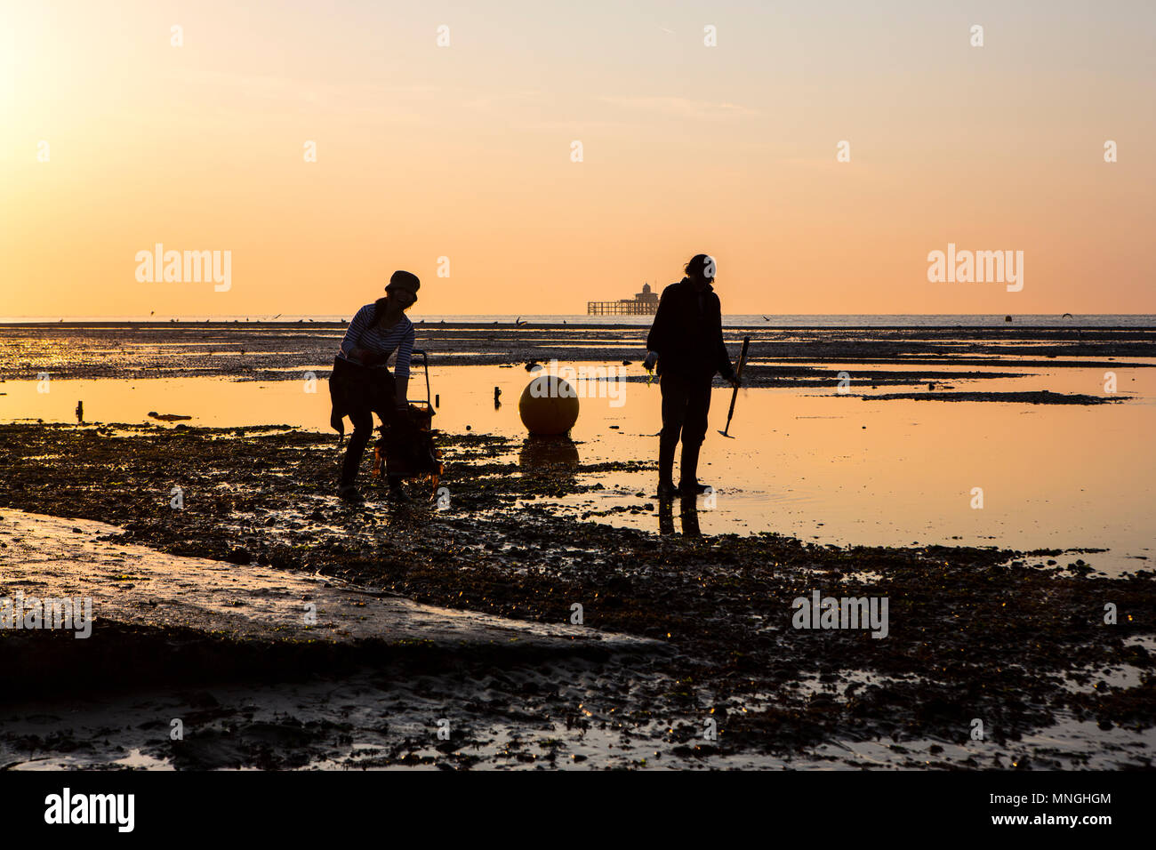 Seaweed pickers hi-res stock photography and images - Alamy