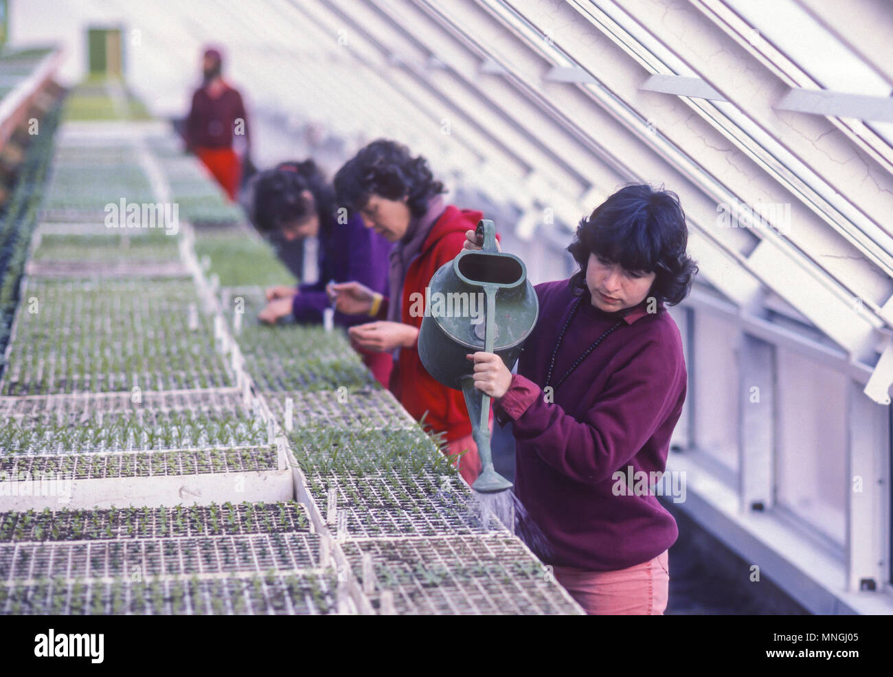 Rajneeshpuram hi-res stock photography and images - Alamy