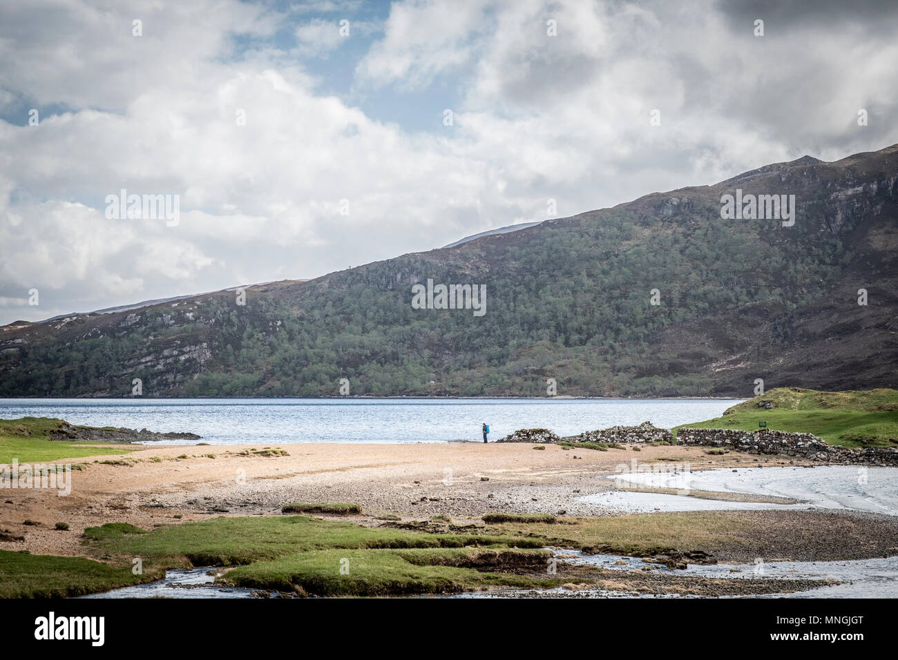 The ruins of Ardvreck Castle, Loch Assynt, an ancient lochside castle ...