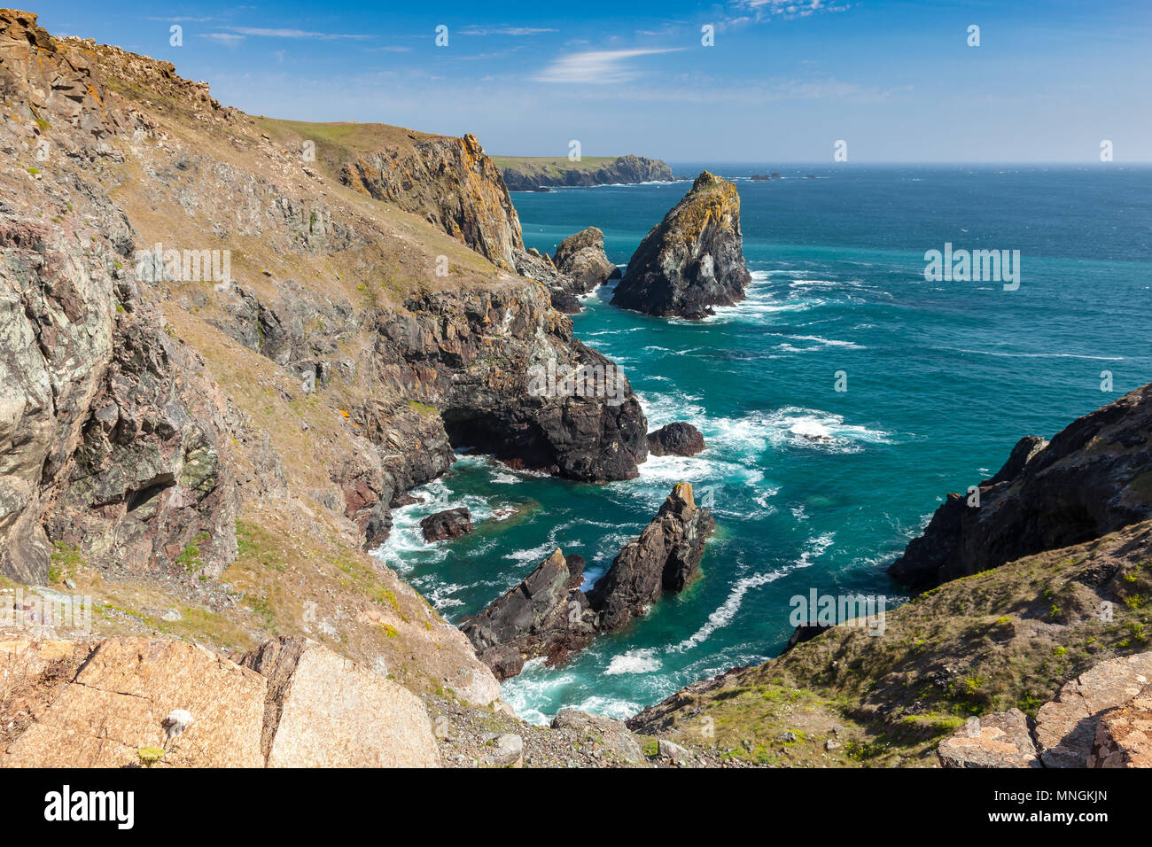 Dramatic coastline at Kynance Cove on the Lizard Peninsula Cornwall ...