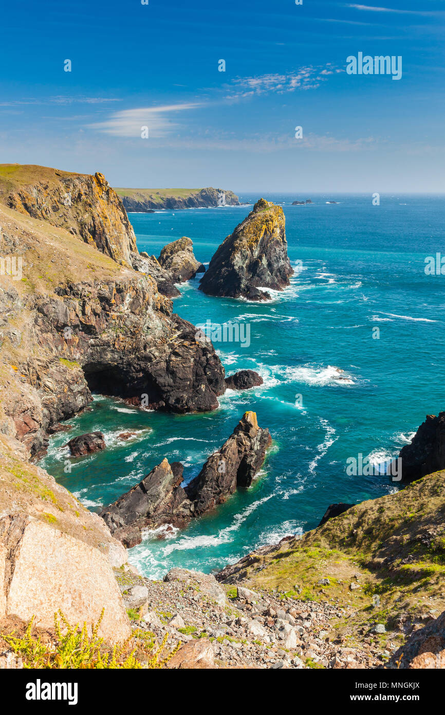 Dramatic coastline at Kynance Cove on the Lizard Peninsula Cornwall ...