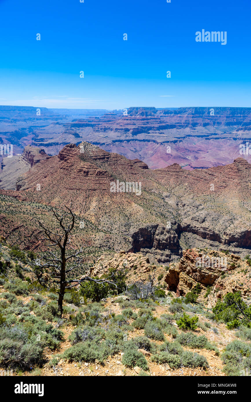 Amazing view of the Desert View Watchtower from Lipan Point in the ...