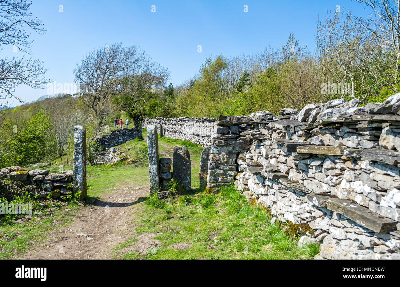 Traditional dry stone walling and stile Stock Photo - Alamy