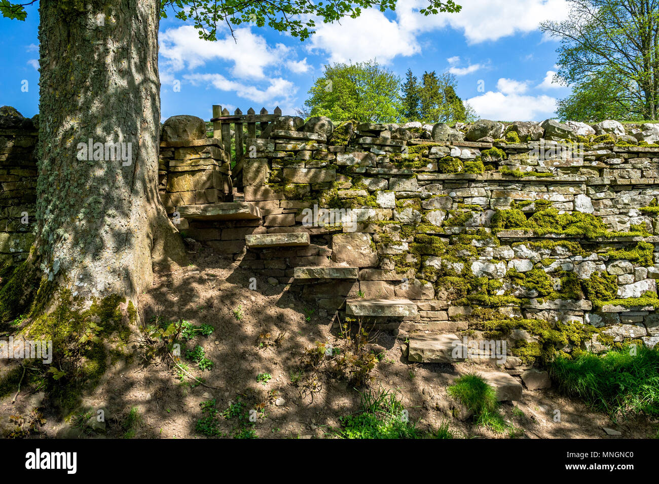 Stone steps, part of a stone wall leading to a foot path stile Stock ...