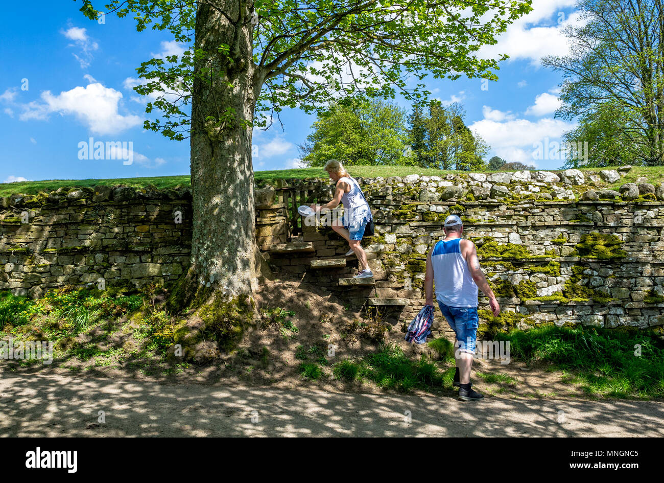 Stone steps, part of a stone wall leading to a foot path stile Stock ...