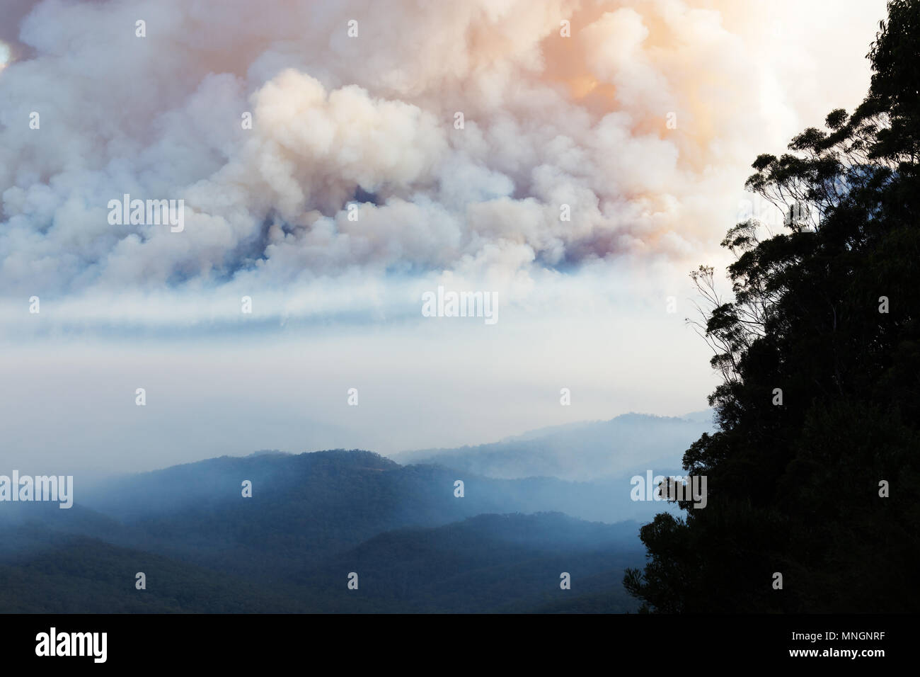 Fire australia forest dramatic hi-res stock photography and images - Alamy