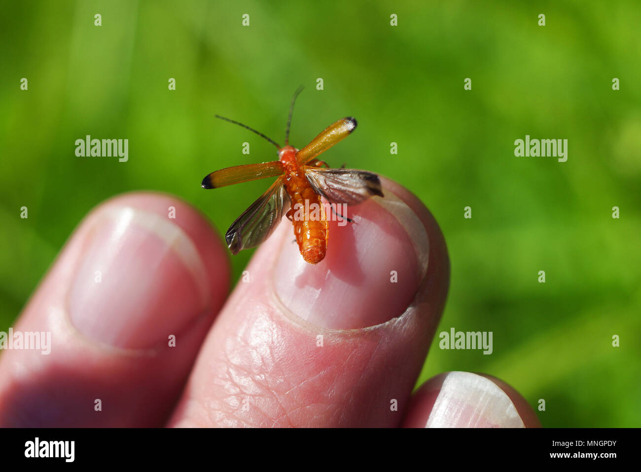 Blurred finger hi-res stock photography and images - Alamy