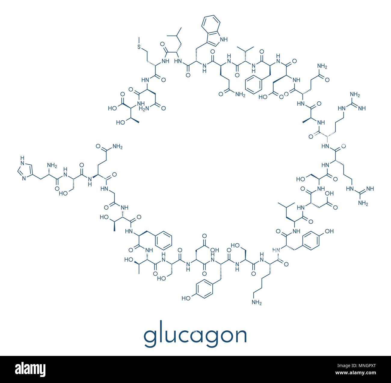 Glucagon hi-res stock photography and images - Alamy