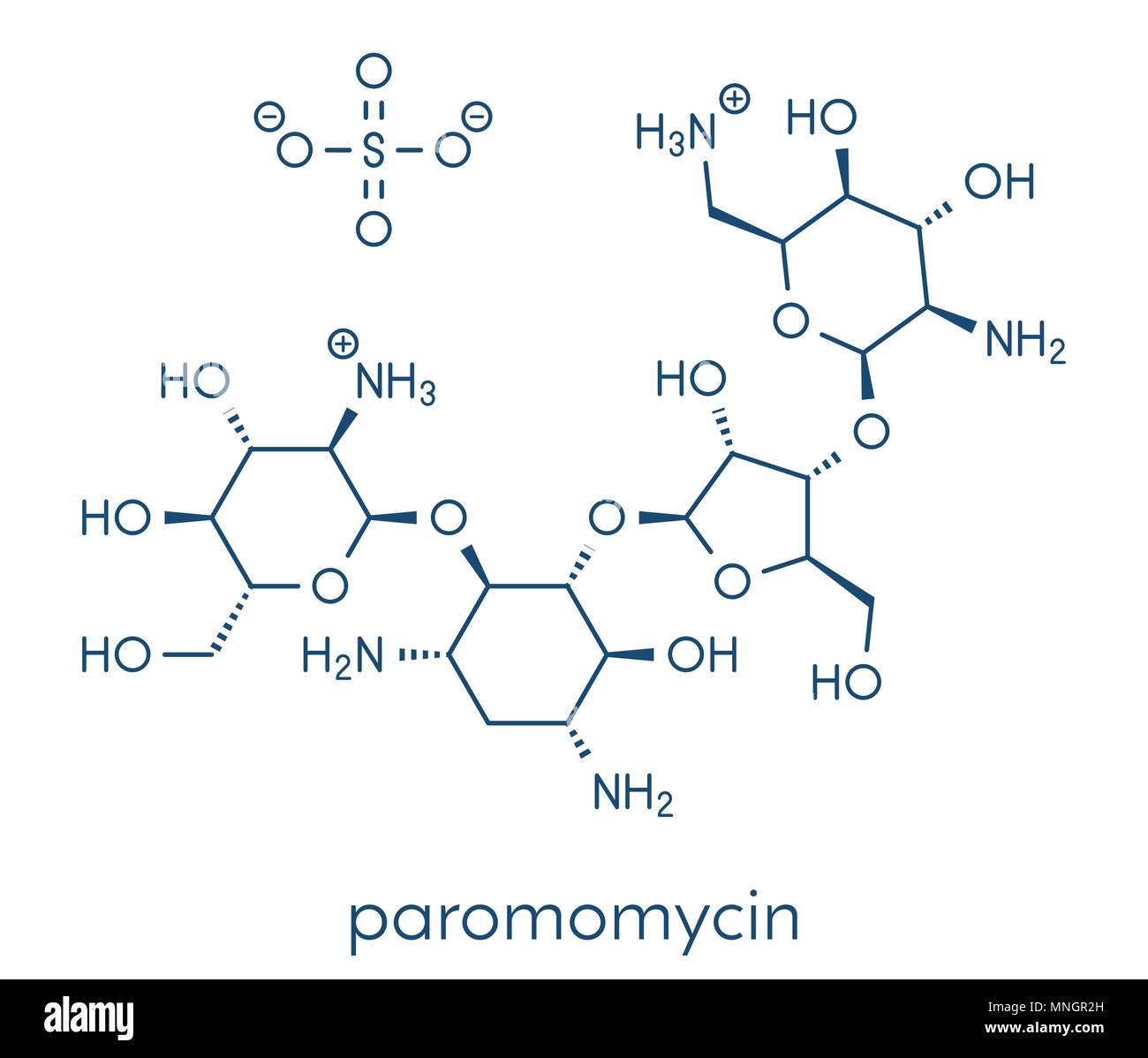 Paromomycin aminoglycoside antibiotic drug molecule. Skeletal formula ...