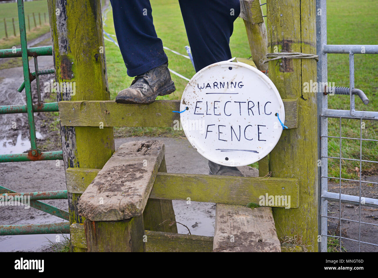 Style over fence hi-res stock photography and images - Alamy