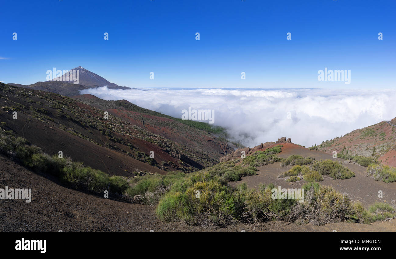 National park Tenerife - landscape with Teide Stock Photo - Alamy