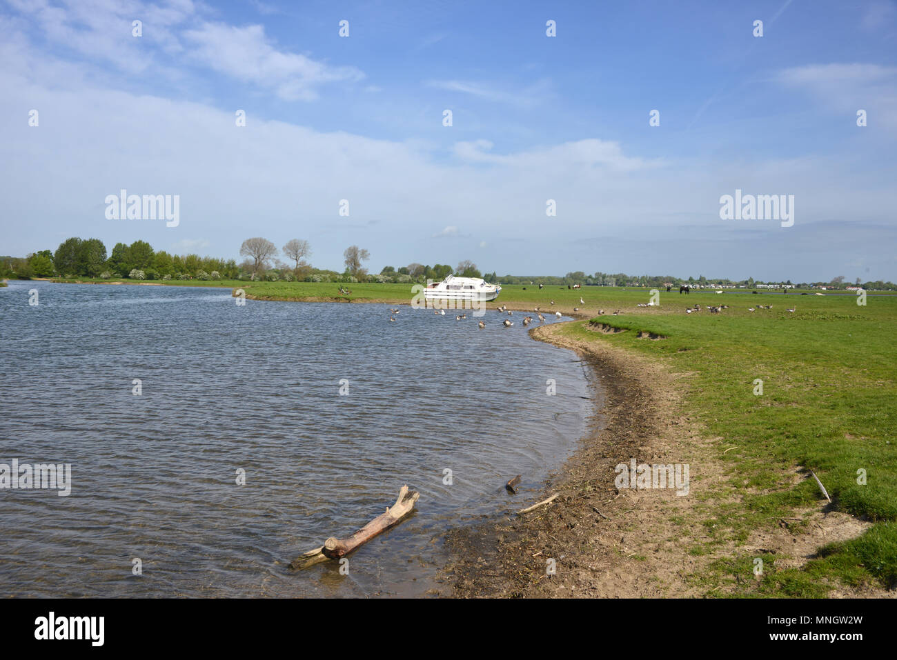 River thames port hi-res stock photography and images - Alamy