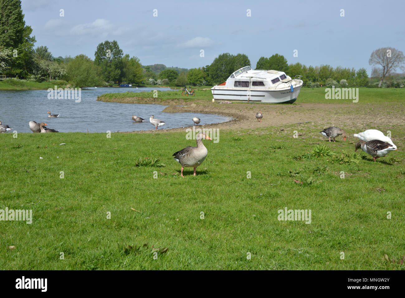 River thames port hi-res stock photography and images - Alamy