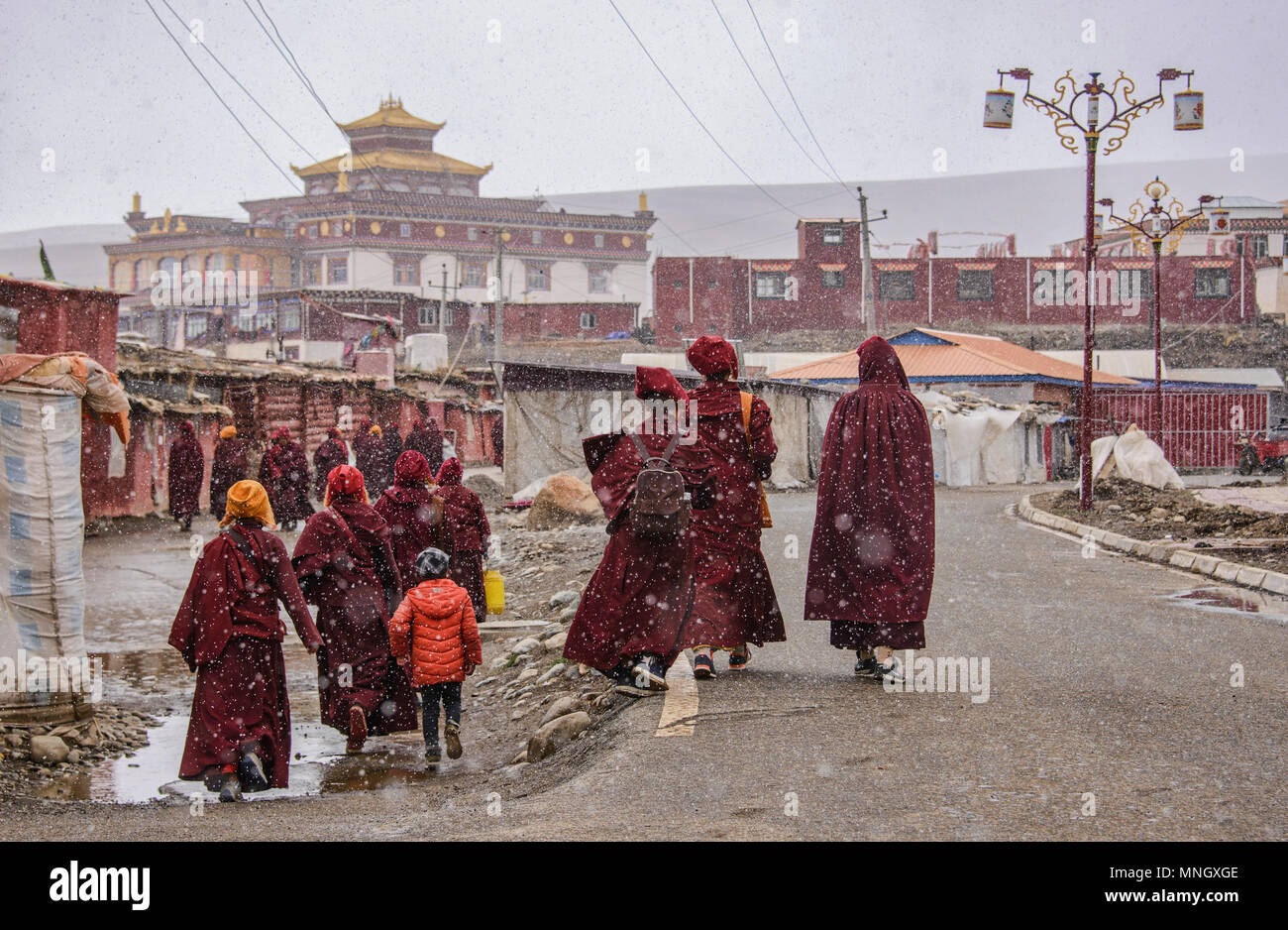 Tibetan nuns walking in the snow, Yarchen Gar, Sichuan, China Stock ...
