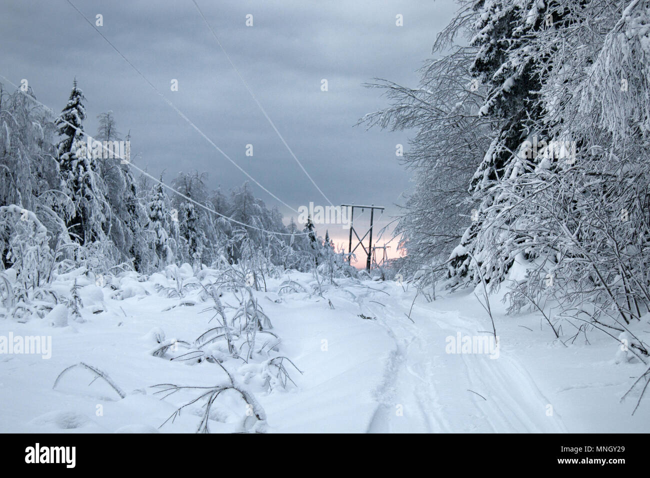High-tension power line. Snow deposits and slush build-up on high ...