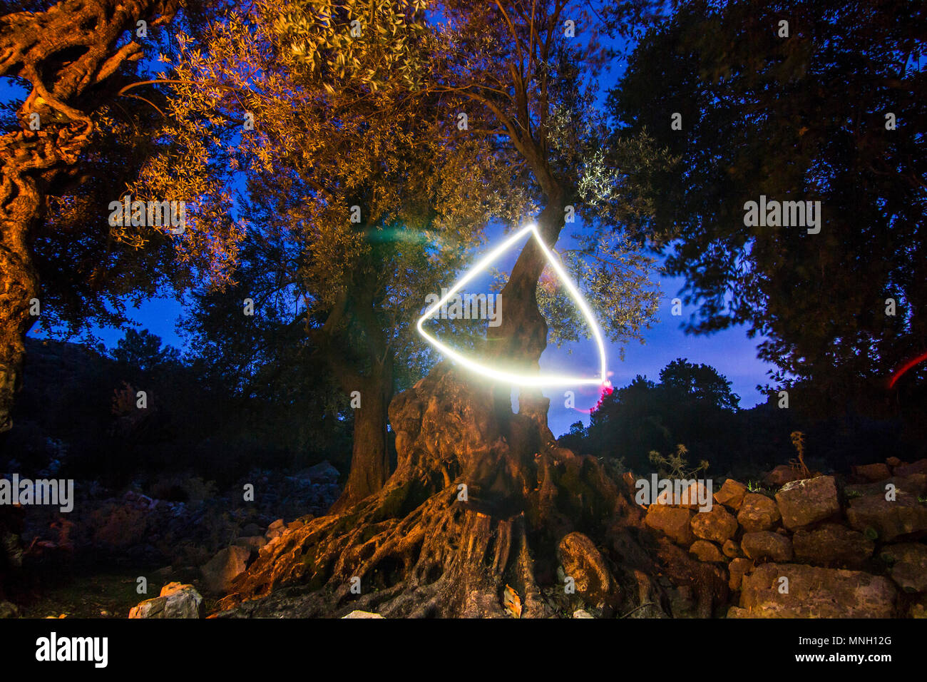 triangle of light in night forest Stock Photo - Alamy