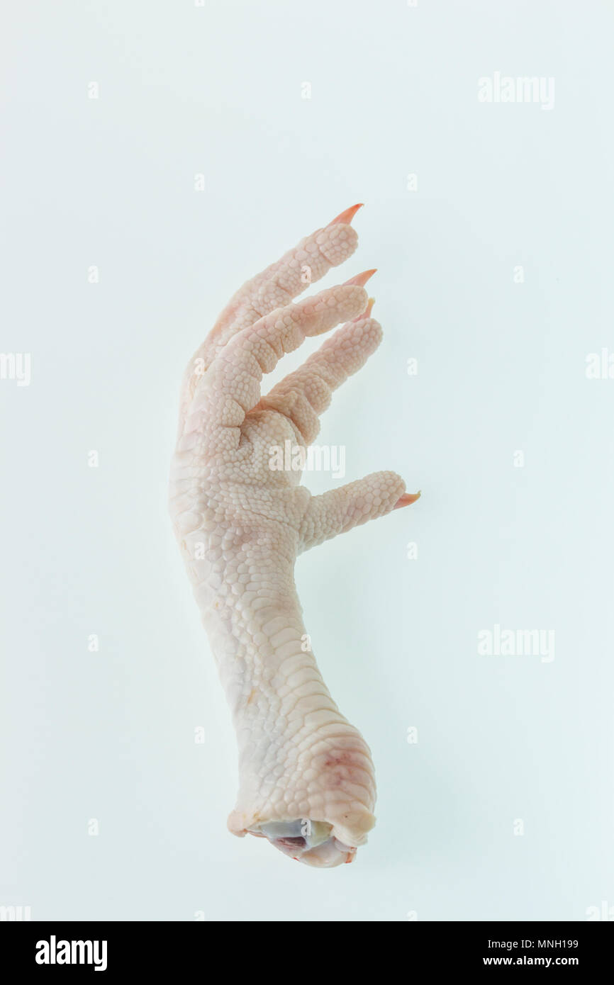 Chicken feet on white background Stock Photo - Alamy