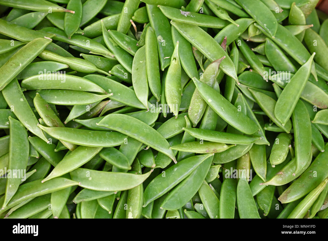 Close up fresh spring green peas pods on retail display of farmers ...