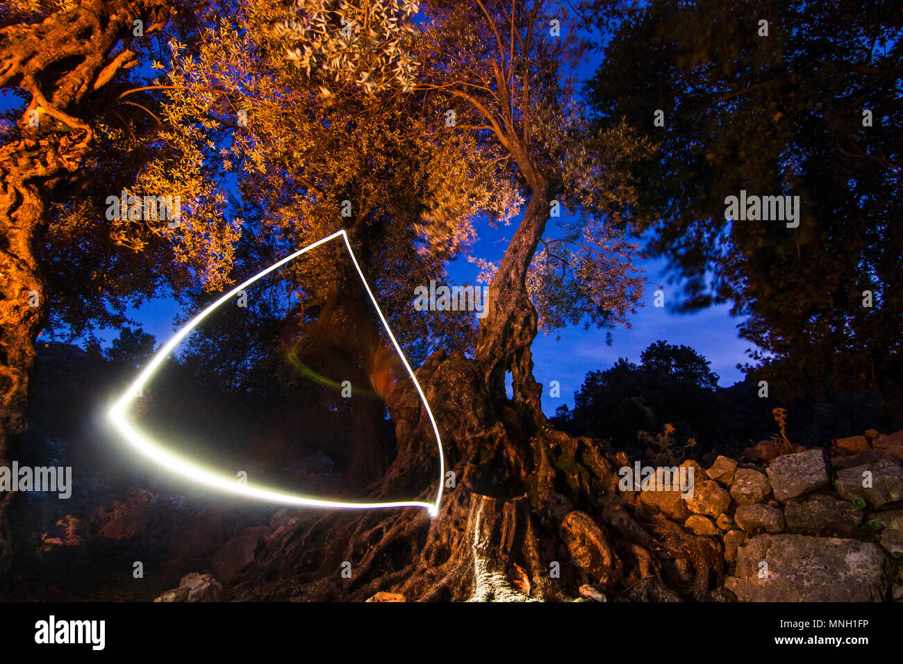 triangle of light in night forest on long exposure Stock Photo - Alamy