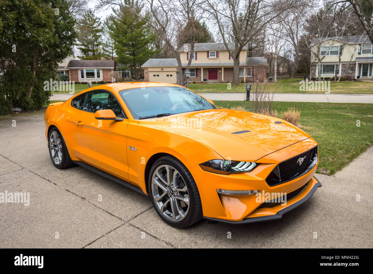 Ford Mustang Exterior Paint Colors
