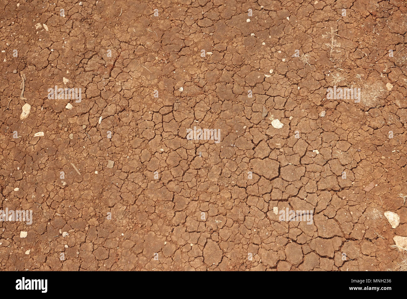 Soil cracks hi-res stock photography and images - Alamy