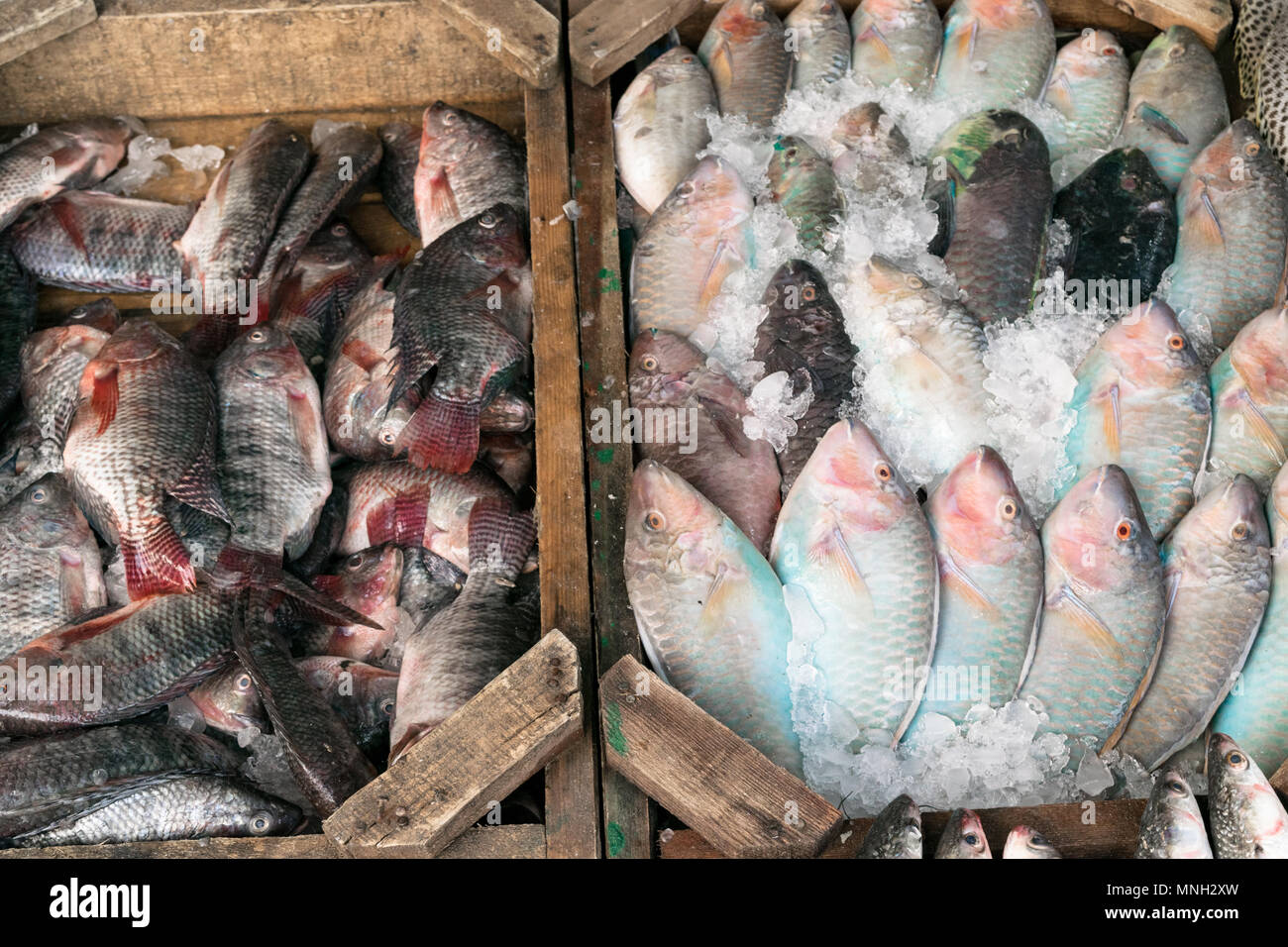 Various types of raw fish are displayed on the table for sale in the ...