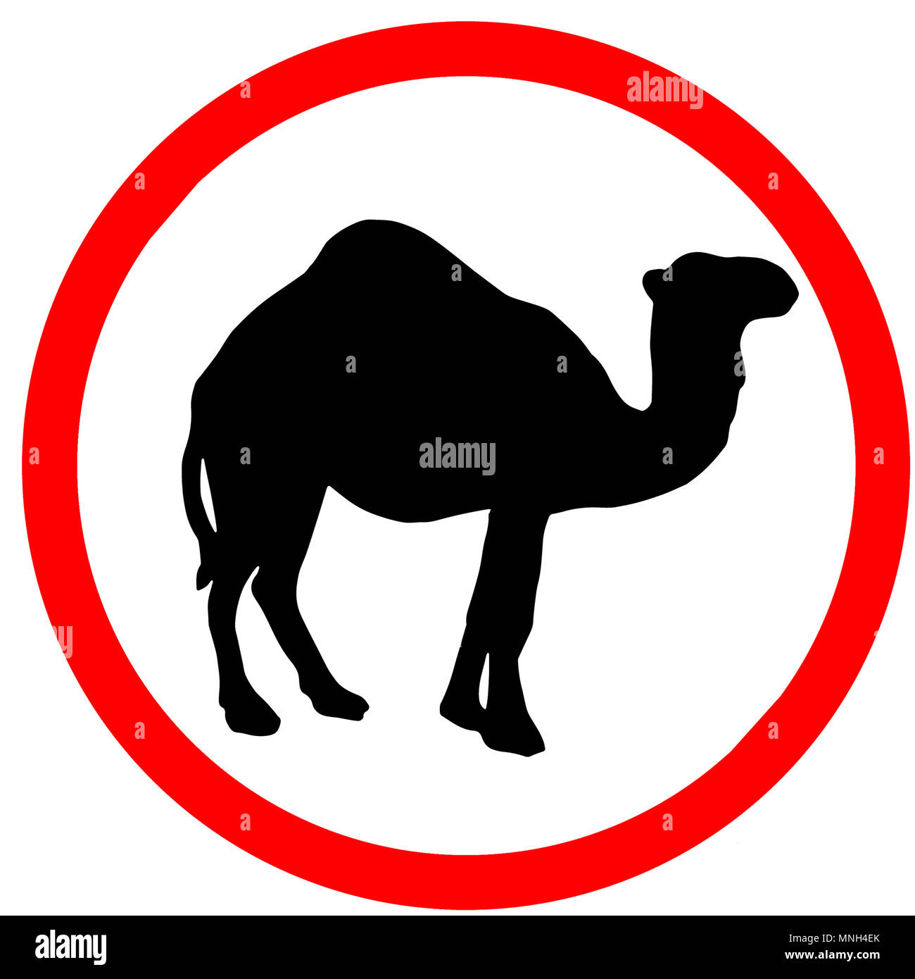 Camel caution red circle warning road sign, isolated on white ...