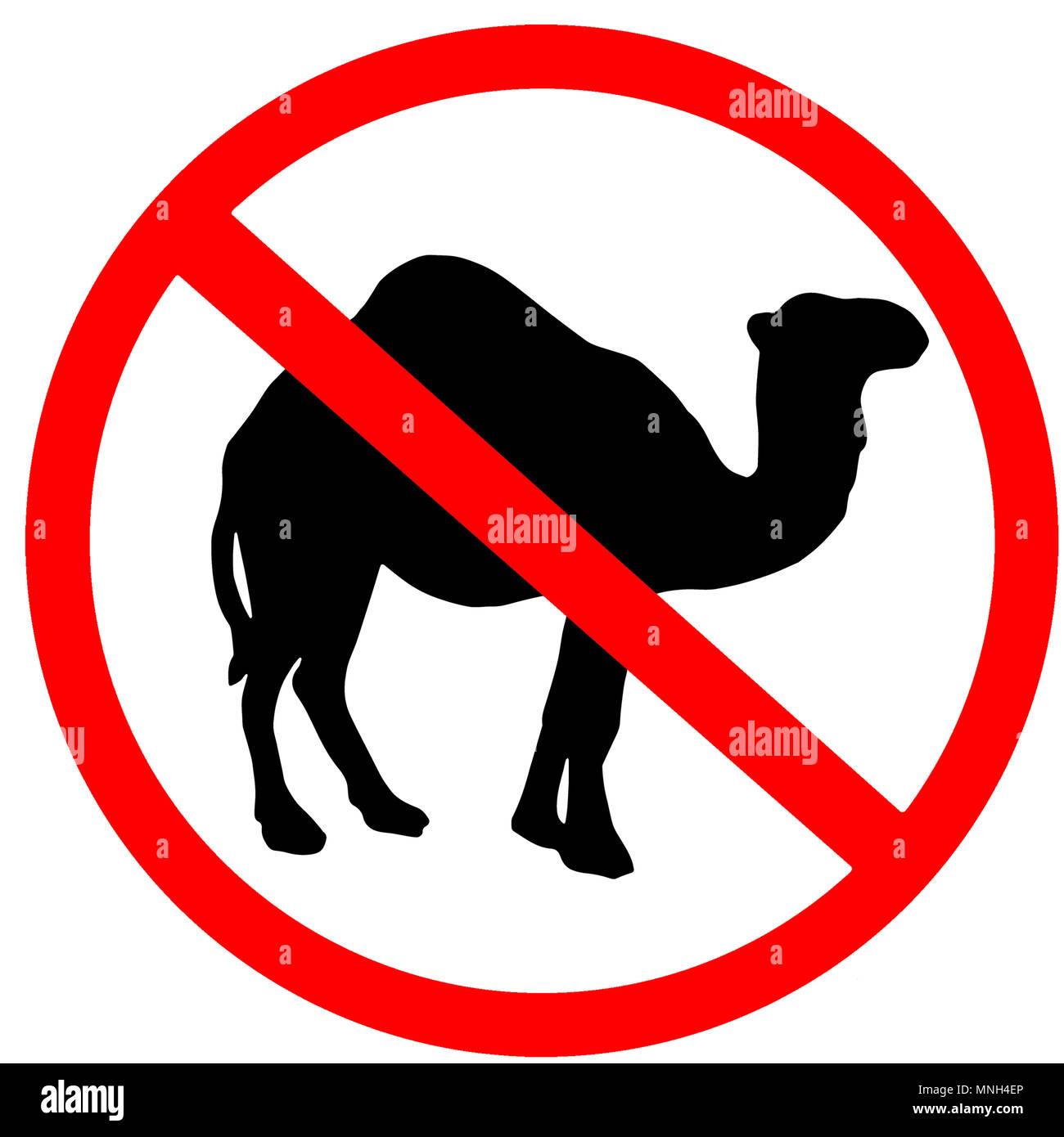 Camel not allowed prohibition red circle warning road sign, isolated on ...