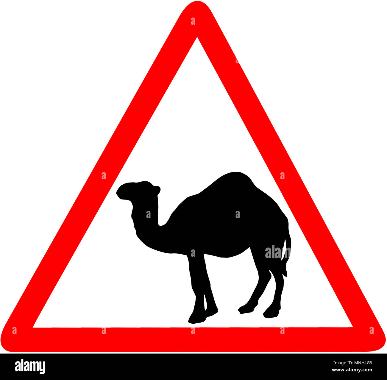 Camel caution red triangular warning road sign, isolated on white ...
