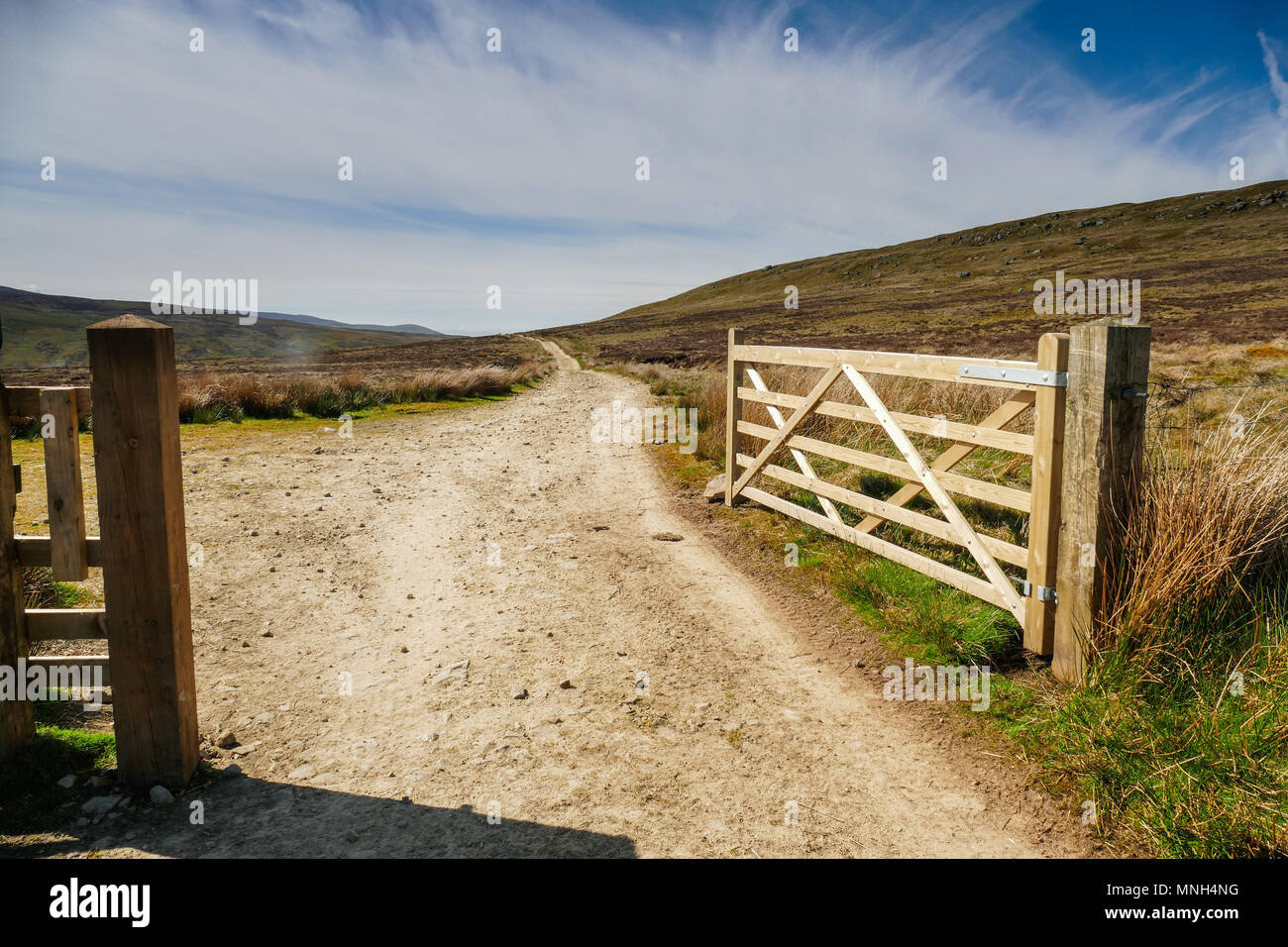 Open gate of a forest hi-res stock photography and images - Alamy