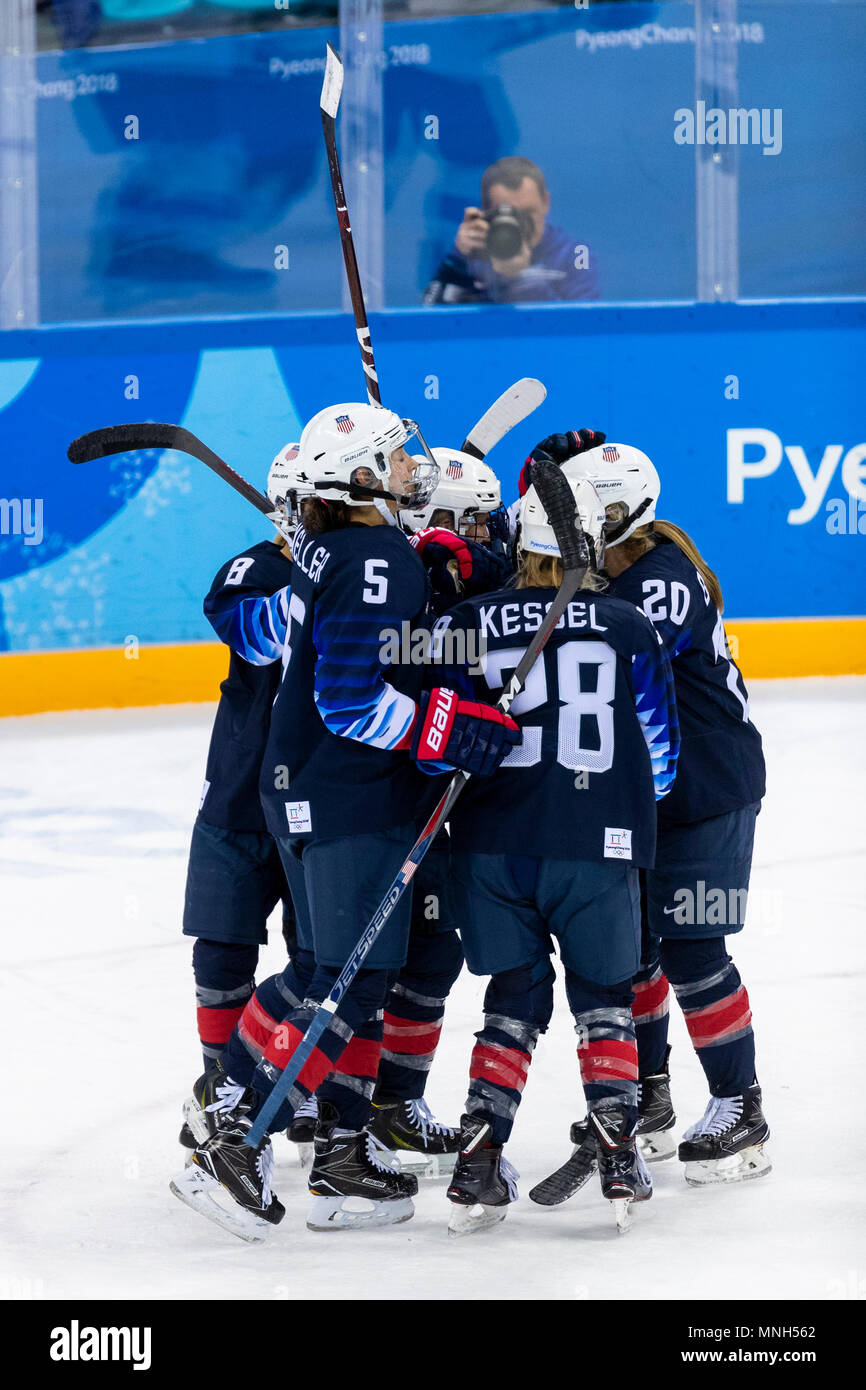 Team USA celebrates during USA-FInland Women's Hockey competition at ...