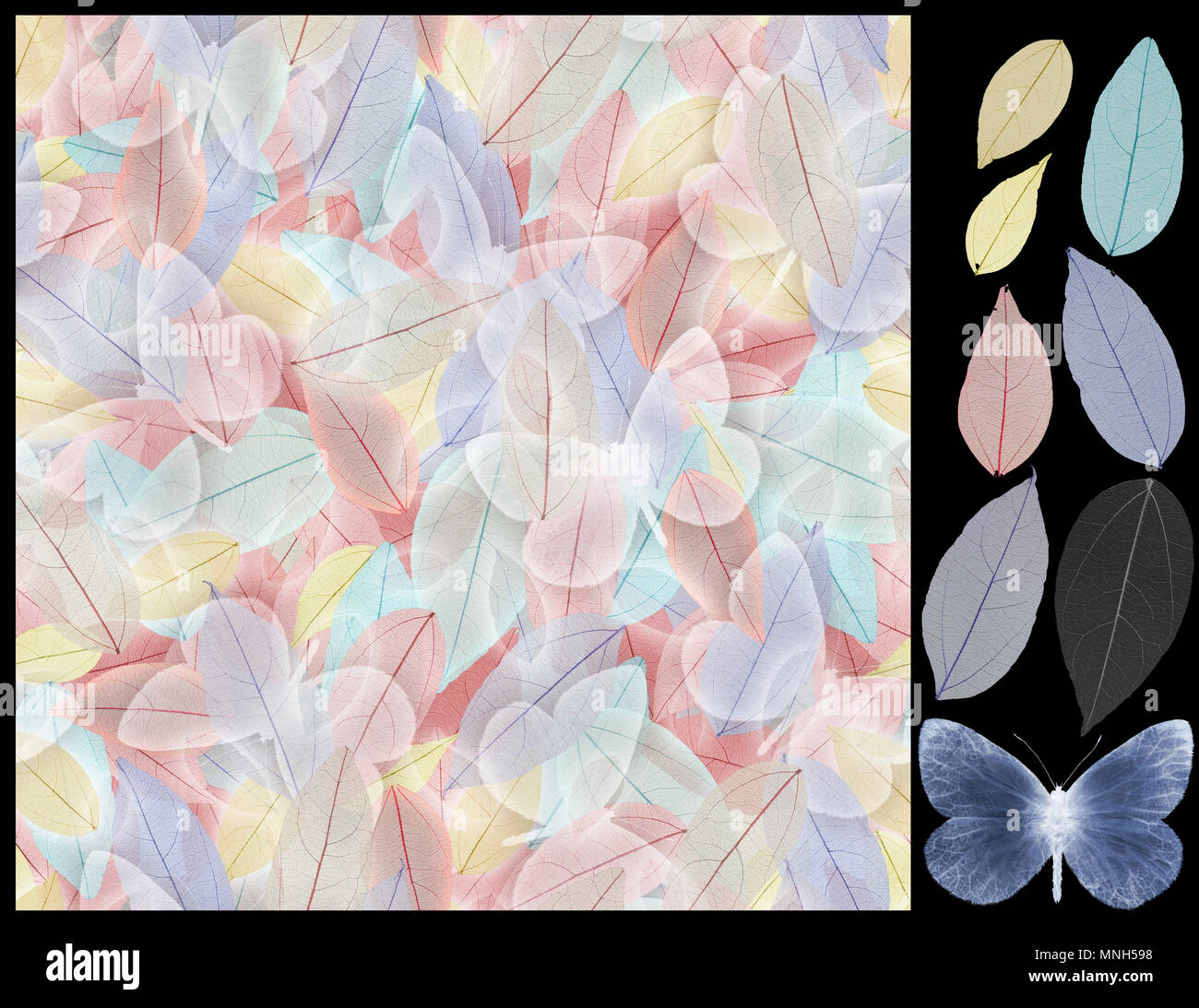 Lucid leaves hi-res stock photography and images - Alamy