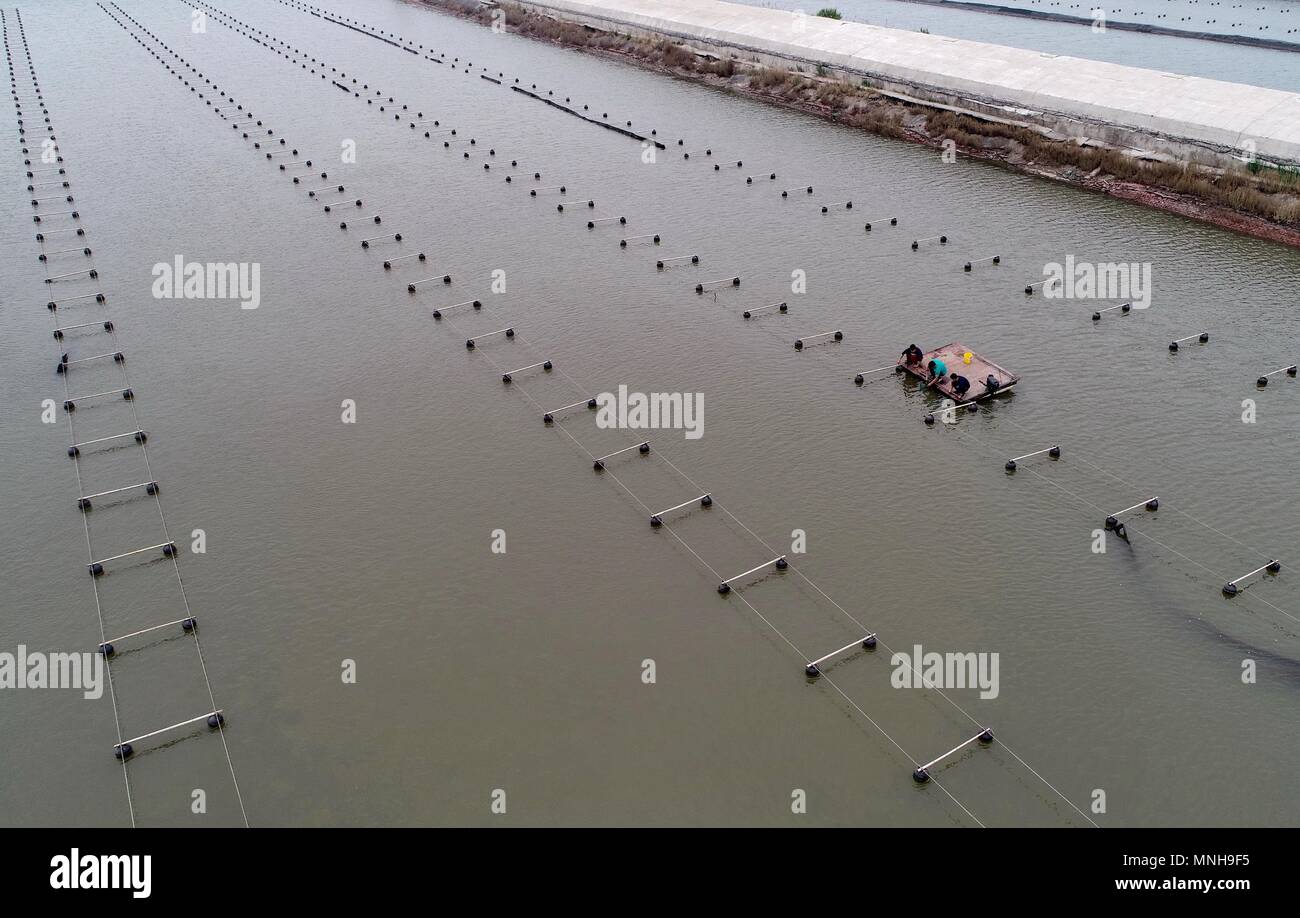 Mariculture High Resolution Stock Photography and Images - Alamy