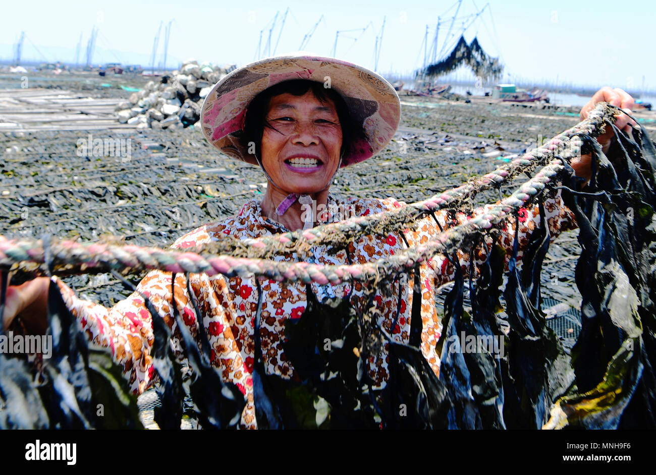 Xiapu, China's Fujian Province. 17th May, 2018. Villager Luo Lanqiu ...