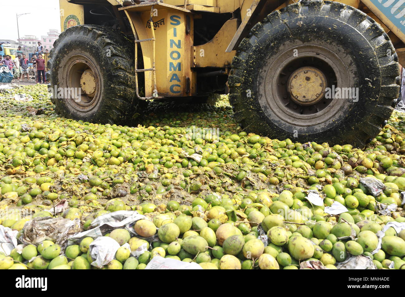 Dhaka, Bangladesh - May 17, 2018: Artificially ripened mangoes are ...