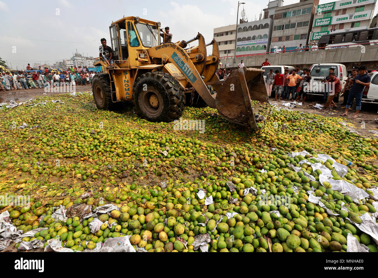 Mango destroy hi-res stock photography and images - Alamy
