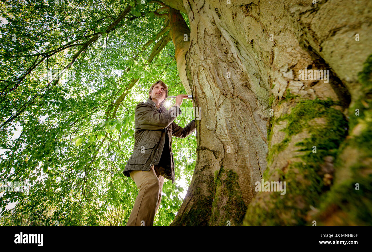 500 acre wood hi-res stock photography and images - Alamy