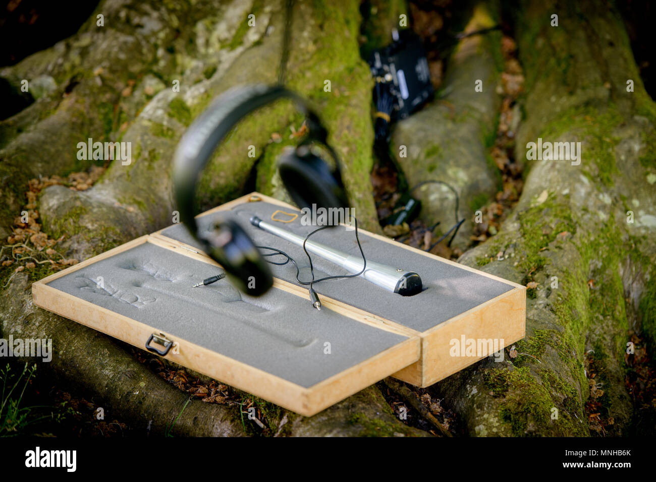 500 acre wood hi-res stock photography and images - Alamy