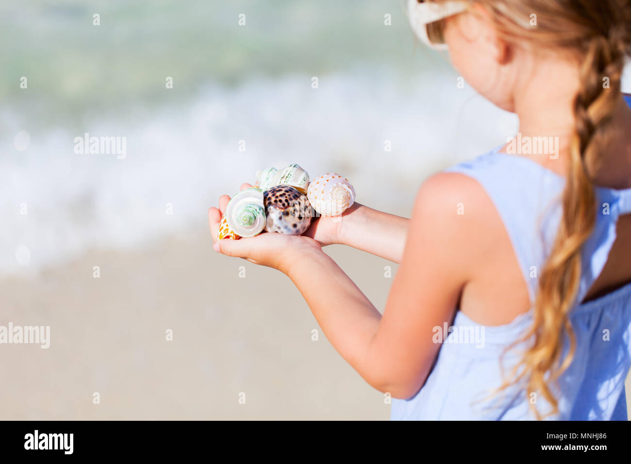 White beautiful shells hi-res stock photography and images - Alamy