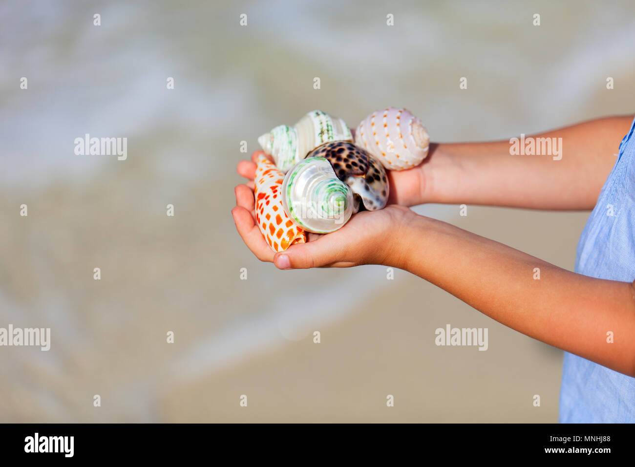 Girl holding up sea shell hi-res stock photography and images - Alamy