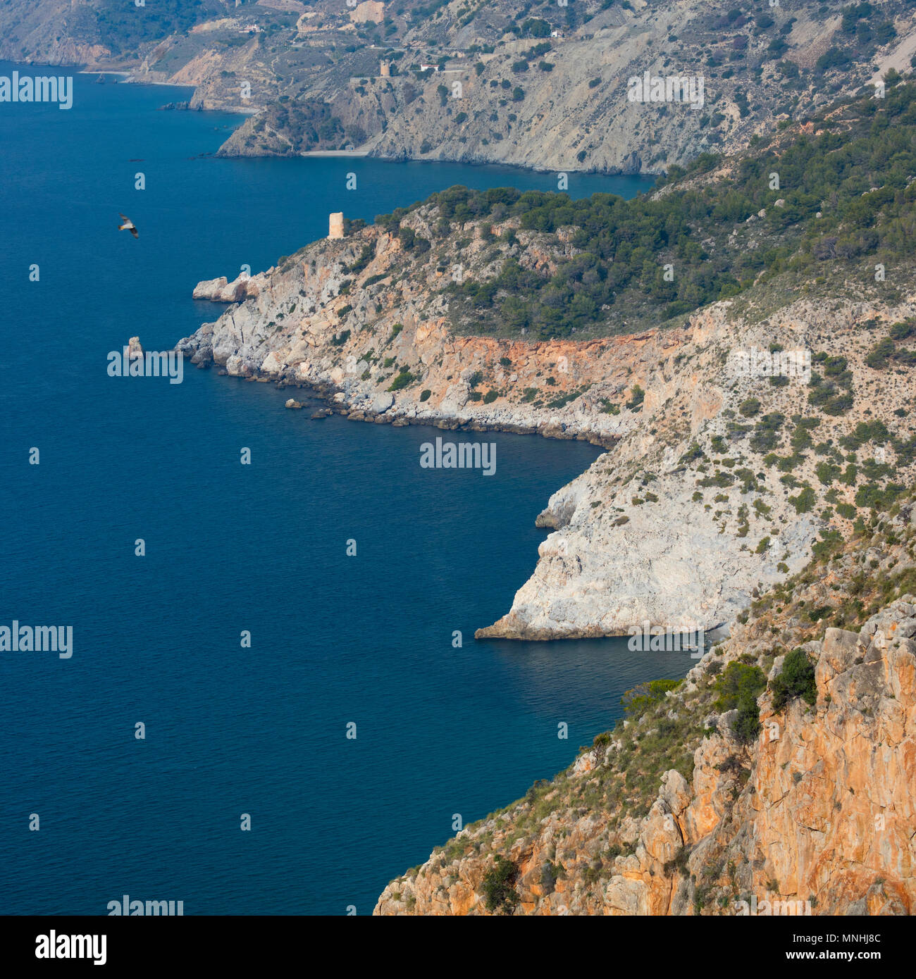 Maro cerro gordo hi-res stock photography and images - Alamy