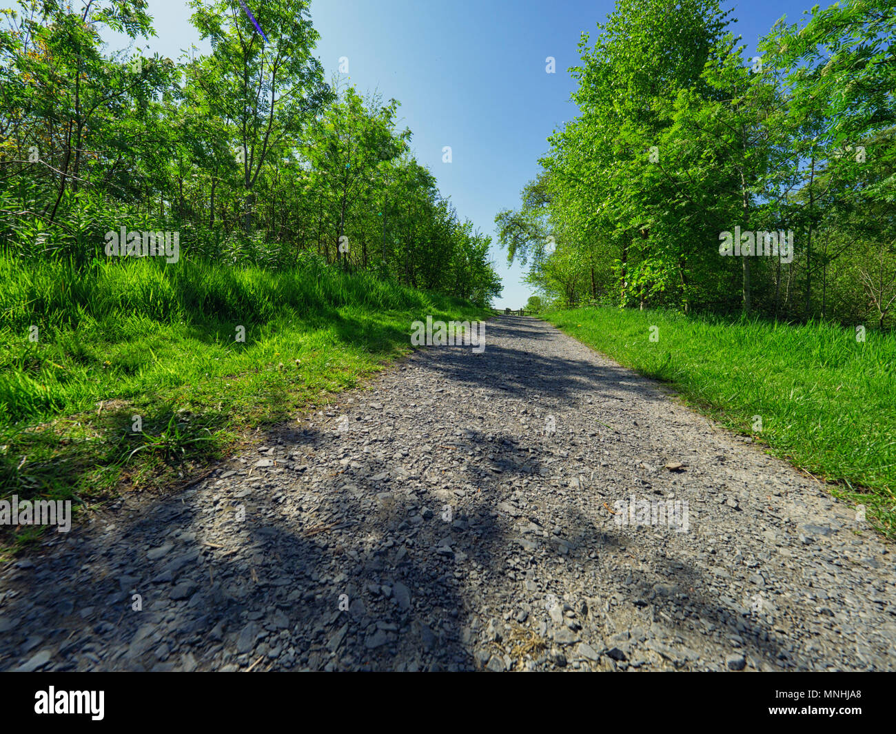Sunny spring countryside,Northern Ireland Stock Photo - Alamy