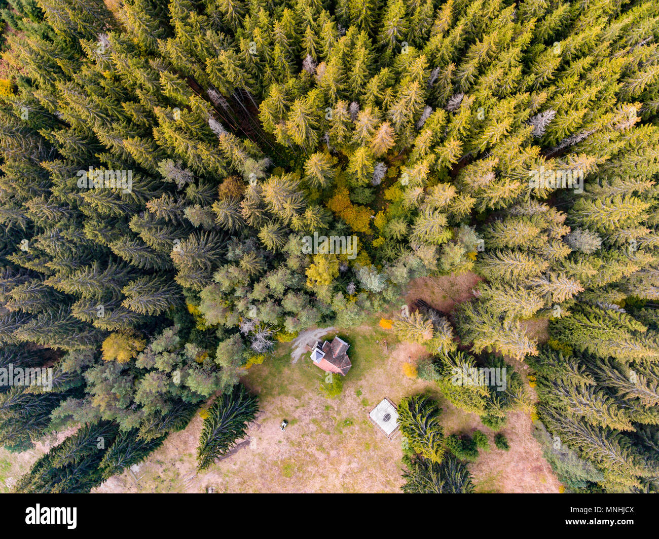 Church in the forest. Aerial View Stock Photo - Alamy