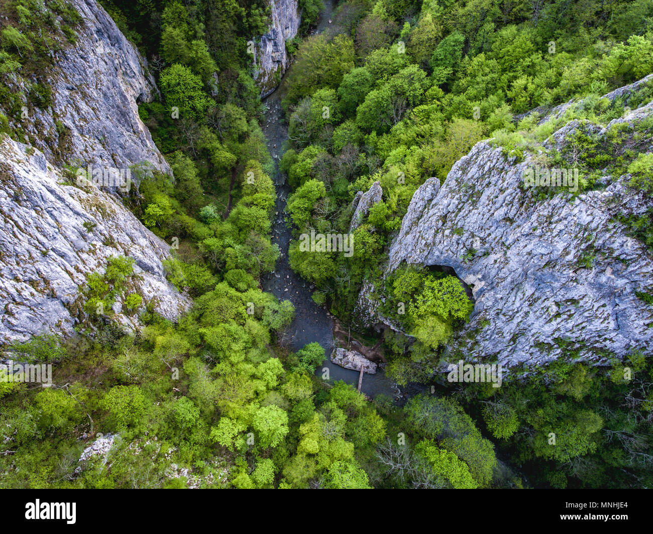 Varghisului Gorges in Covasna and Harghita county, Transylvania ...