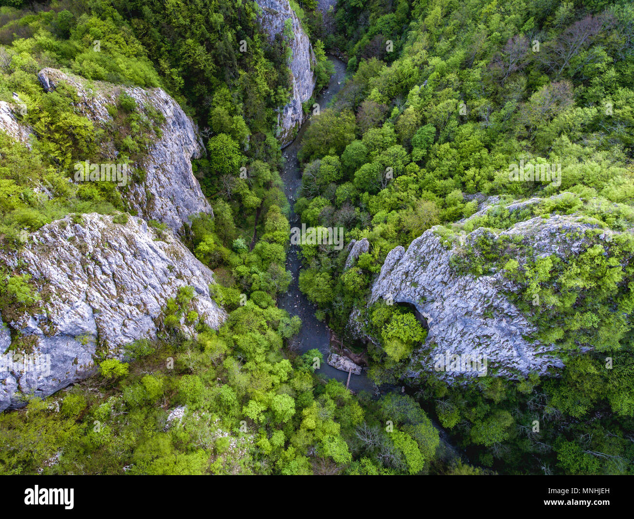 Varghis Gorges in Covasna and Harghita county, Transylvania, Romania ...