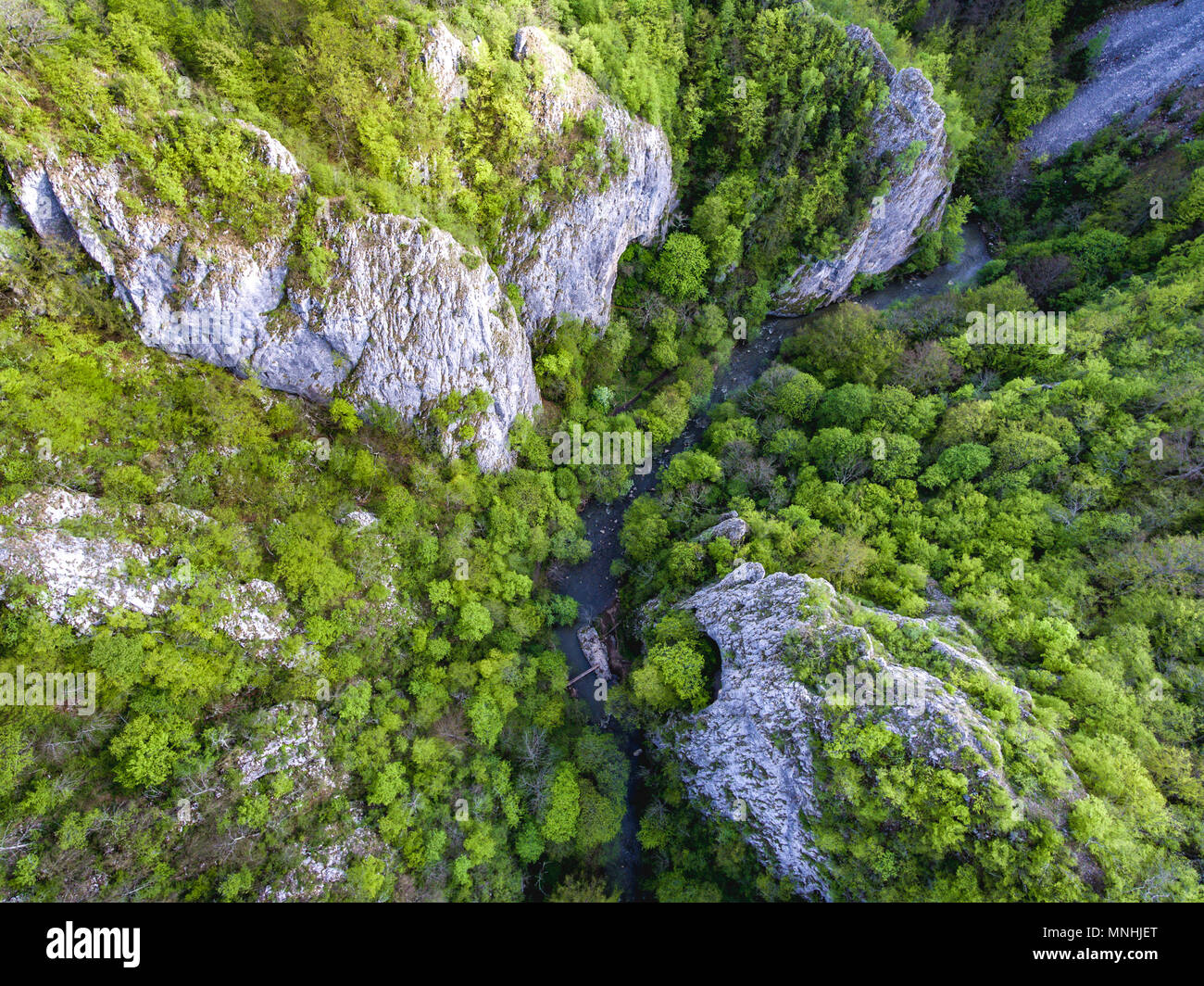 Varghis Gorges in Covasna and Harghita county, Transylvania, Romania ...